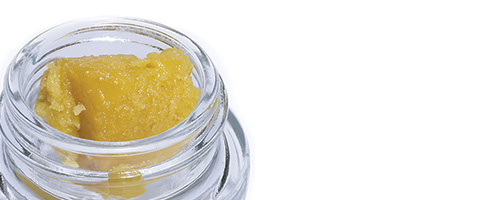 Monroe Michigan Dispensary | 50% OFF Your First Order